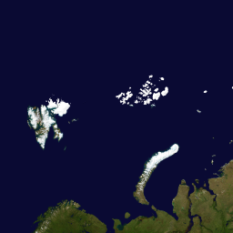 AA167 - American Airlines AA 167 Flight Tracker