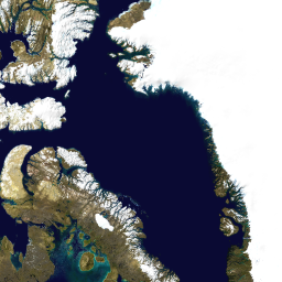 BA295 - British Airways BA 295 Flight Tracker