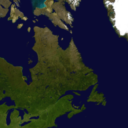 BA295 - British Airways BA 295 Flight Tracker