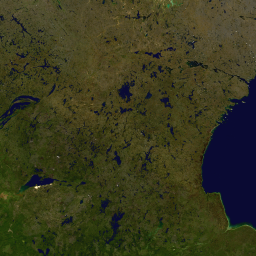 WS667 - WestJet WS 667 Flight Tracker