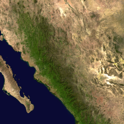 AM608 - Aeromexico AM 608 Flight Tracker