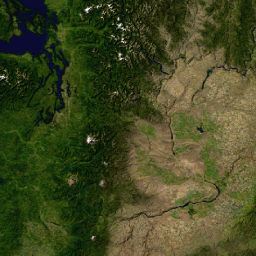 WS137 - WestJet WS 137 Flight Tracker