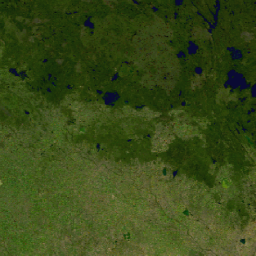 WS137 - WestJet WS 137 Flight Tracker