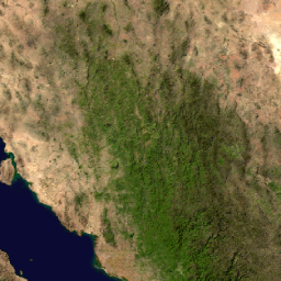 UA415 - United Airlines UA 415 Flight Tracker