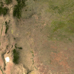 AA2269 - American Airlines AA 2269 Flight Tracker