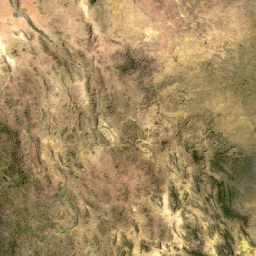 AA2269 - American Airlines AA 2269 Flight Tracker