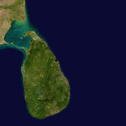 AI2401 - Air India AI 2401 Flight Tracker